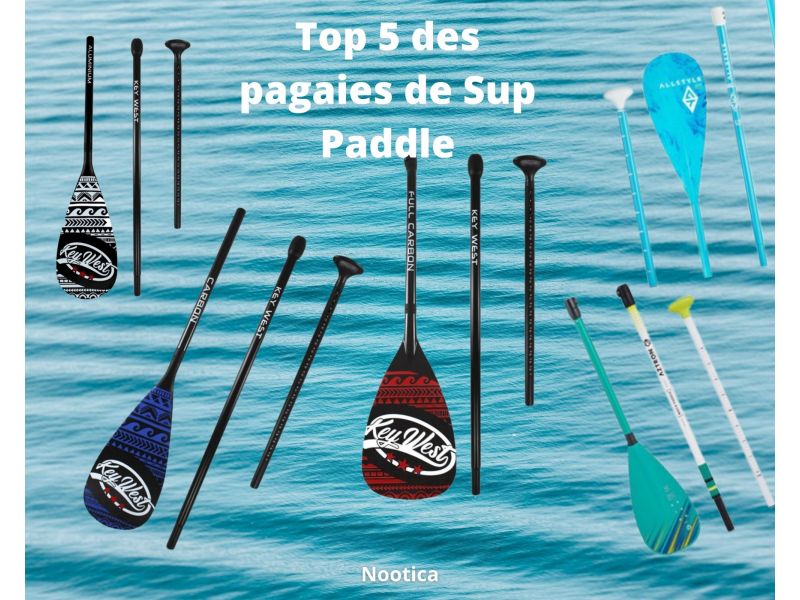 SUP Paddel: Die TOP 5 der besten Paddel