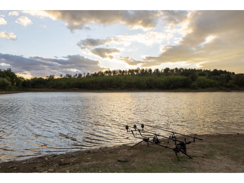 Das Feeder Angeln |Eine ideale Angelart für den Anfänger